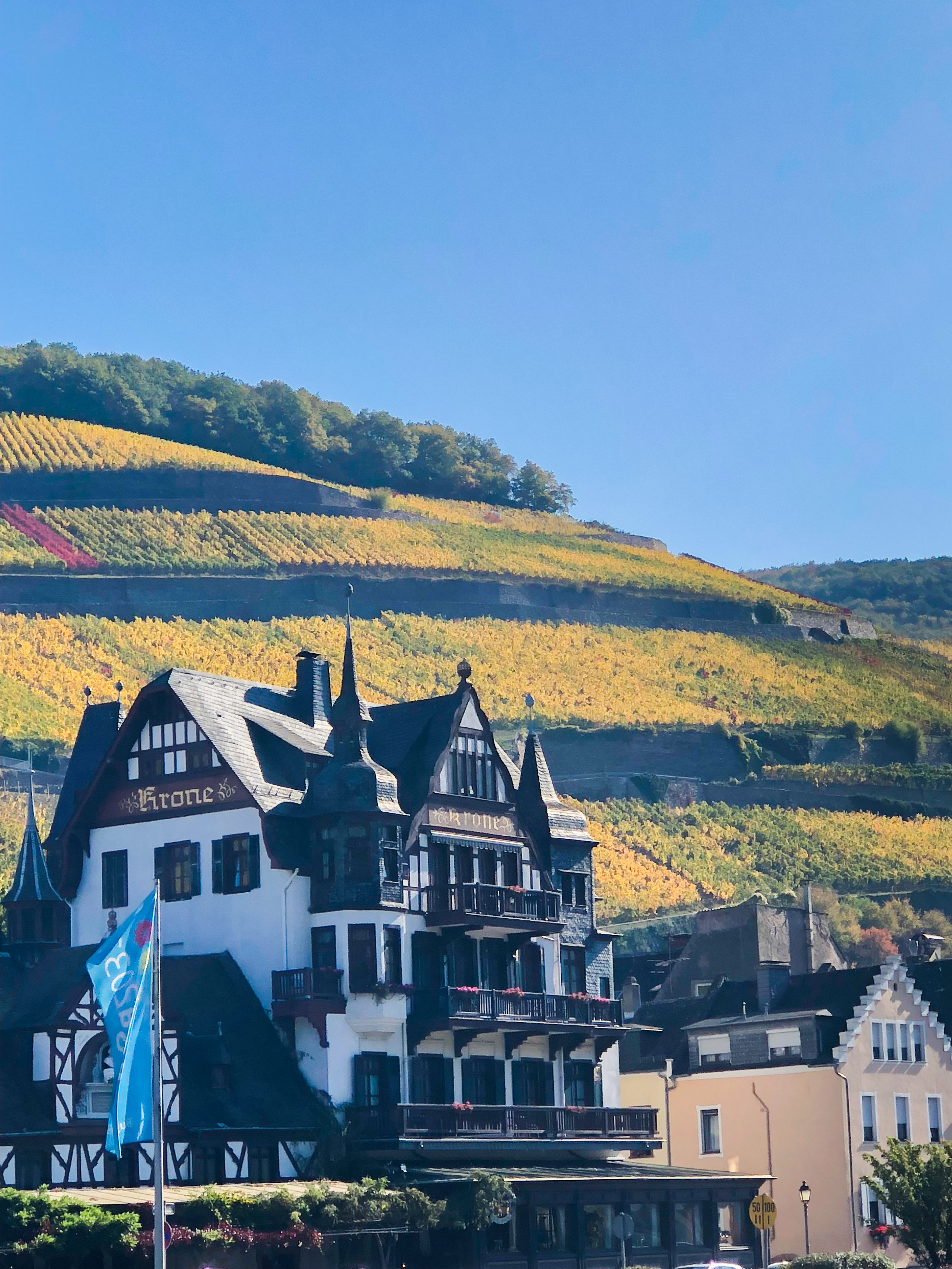 Taking a Castle Cruise from Rudesheim am Rhein - Love.Laugh.Explore.